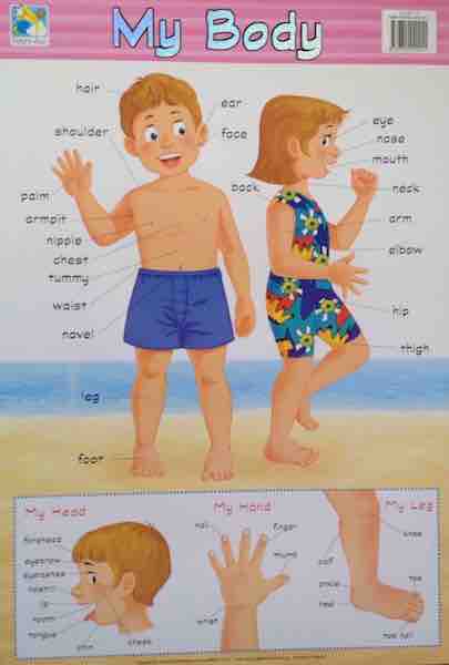 J'aime La Papeterie MY Body wall chart